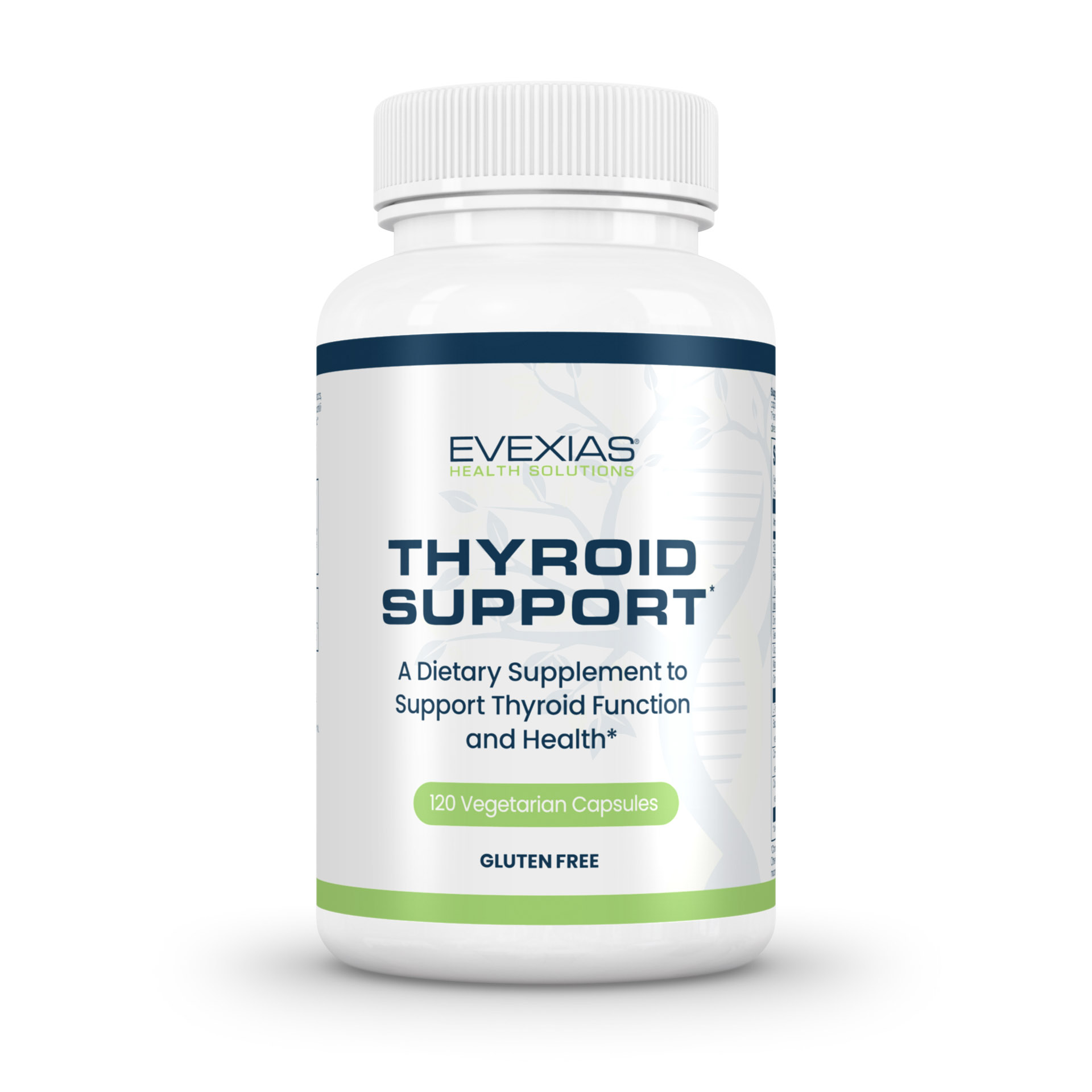 Thyroid Support - Evexias Medical Centers